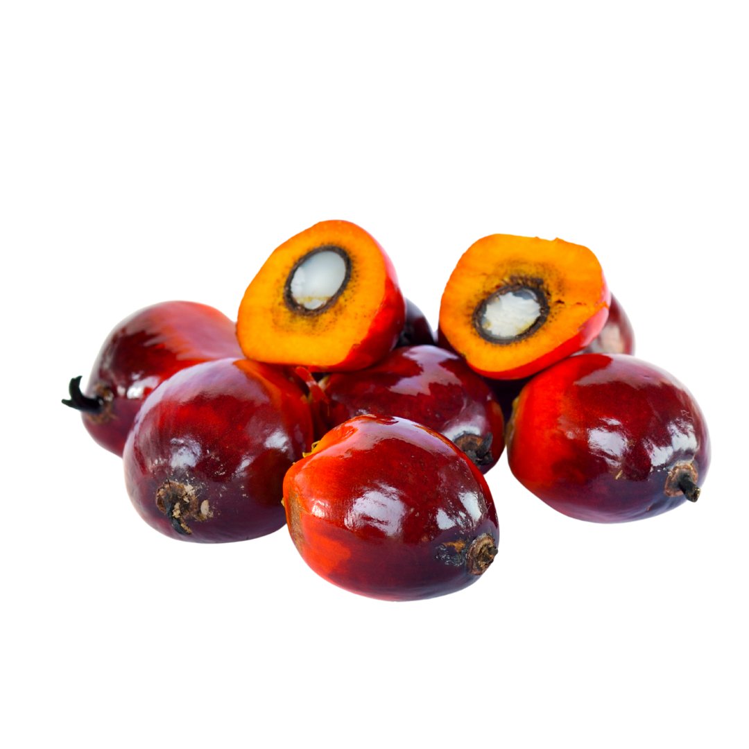 Premium Batana Oil for Hair & Skin Revival | The Skin Science Company ...