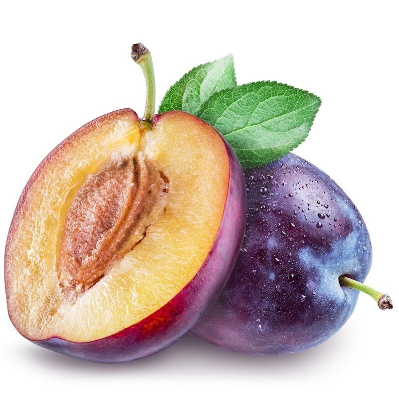 Pure Plum Kernel Oil for Skincare & Hair Care | The Skin Science ...