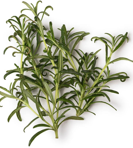 The Skin Science Company – The SkinScience Company